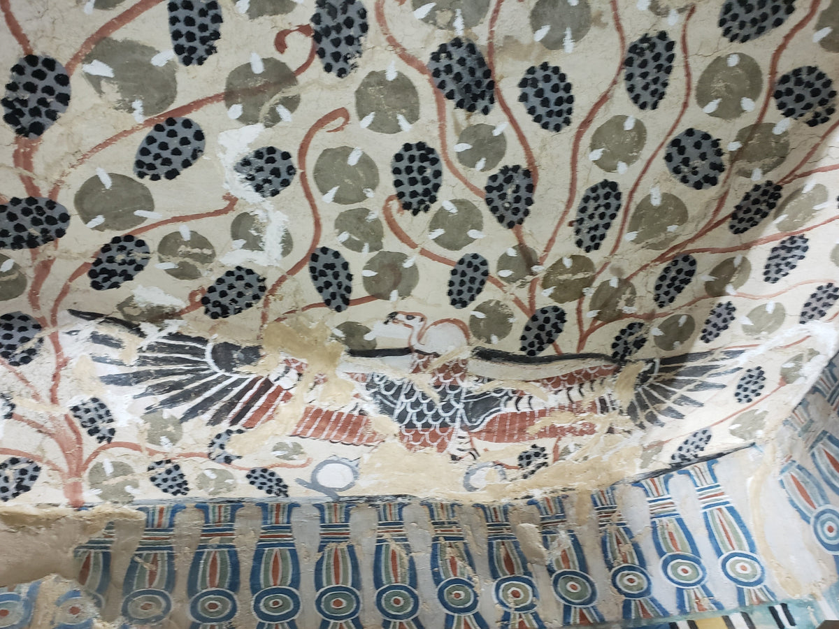 The Tomb of Sennefer: The Vineyard Tomb of Thebes – Discoveries ...